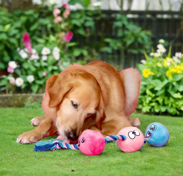 Scruffy Pet Toys - Tug Buttons Anal Balls – Take A Peek